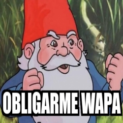 Meme Personalizado - Obligarme wapa - 30091594