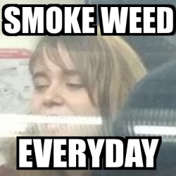 Meme Personalizado - SMOKE WEED everyday - 30094941