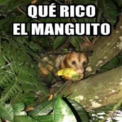 Meme Personalizado - QUÃ‰ RICO EL MANGUITO - 30923843