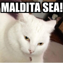 Meme Personalizado - Maldita sea! - 30930969