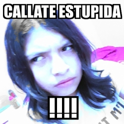 Meme Personalizado - CALLATE ESTUPIDA !!!! - 30931212