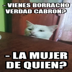 Meme Personalizado - - vienes borracho verdad cabron? - la mujer de ...