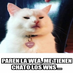 Meme Personalizado - paren la wea, me tienen chato los wns ... - 30933059