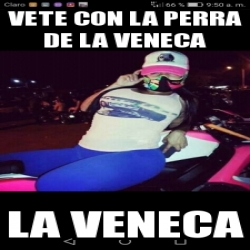 Meme Personalizado - Vete con la perra de la VENECA la VENECA - 30940718