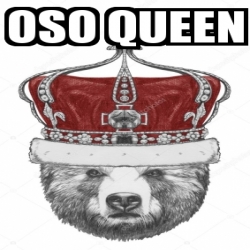 Meme Personalizado - Oso Queen - 30947247