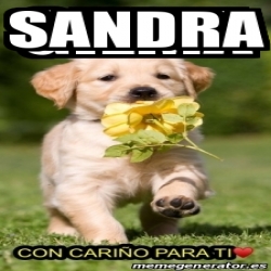 Meme Personalizado - Sandra - 30951679