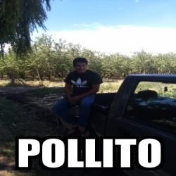 Meme Personalizado - Pollito - 30952017