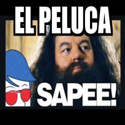 Meme Personalizado - el peluca - 30957592