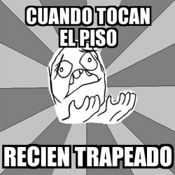 Meme Whyyy - CUANDO TOCAN EL PISO RECIEN TRAPEADO - 30960269