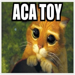 Meme Personalizado - Aca toy - 30978317