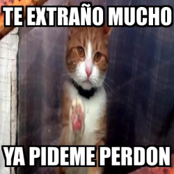 Meme Personalizado - te extraÃ±o mucho ya pideme perdon - 30982249