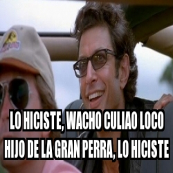 Meme Personalizado - LO HICISTE, WACHO CULIAO LOCO HIJO DE LA GRAN ...