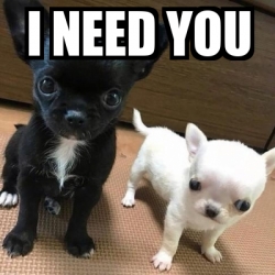 Meme Personalizado - I need you - 31108603