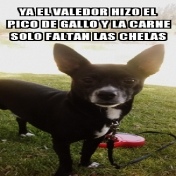 Meme Personalizado - YA EL VALEDOR HIZO EL PICO DE GALLO Y LA CARNE ...
