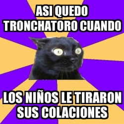 Meme Anxiety Cat - asi quedo tronchatoro cuando los niÃ±os le tiraron ...