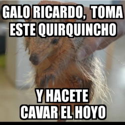 Meme Personalizado - Galo Ricardo, toma este quirquincho Y hacete cavar ...