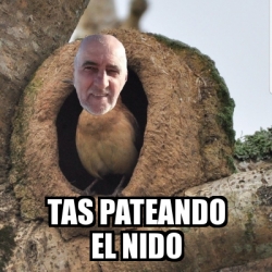 Meme Personalizado - Tas pateando el nido - 31128721