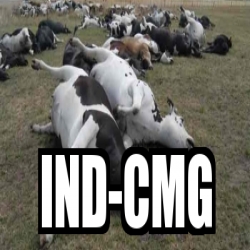 Meme Personalizado - ind-cmg - 31135495