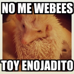 Meme Personalizado - no me webees toy enojadito - 31137615