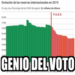 Meme Personalizado - genio del voto - 31139382