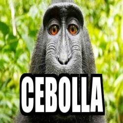 Meme Personalizado - cebolla - 31140928