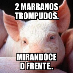 Meme Personalizado - 2 marranos trompudos. Mirandoce d frente.. - 31149835