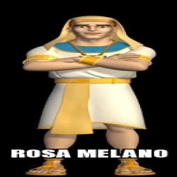 Meme Personalizado - Rosa MELano - 31153771