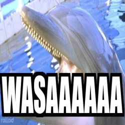 Meme Personalizado - wasaaaaaa - 31164425