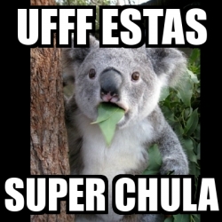 Meme Koala - Ufff estas Super chula - 31171911