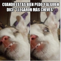 Meme Personalizado - Cuando estas bien pedo y alguien dice "llegaron mÃ ...