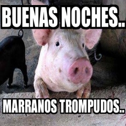 Meme Personalizado - Buenas noches.. Marranos trompudos.. - 31178172