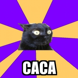 Meme Anxiety Cat - Caca - 31181499