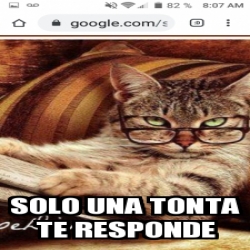 Meme Personalizado - Solo una tonta te responde - 31188541