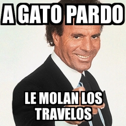 Meme Julio Iglesias - A Gato Pardo le molan los Travelos - 31188579