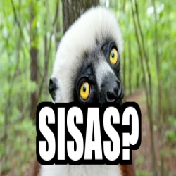 Meme Personalizado - Sisas? - 31190495