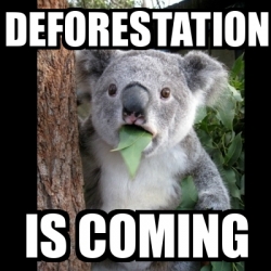 Meme Koala - DEFORESTaTION IS COMING - 31191500