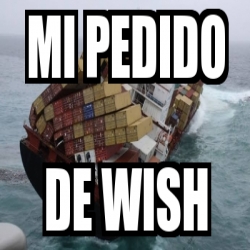 Meme Personalizado - Mi pedido de Wish - 31195526