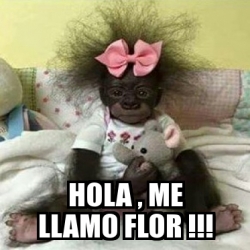 Meme Personalizado - Hola , me llamo Flor !!! - 31023245