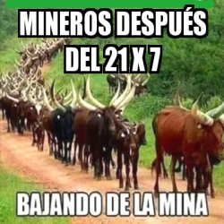 Meme Personalizado - Mineros despuÃ©s del 21 x 7 - 31024461