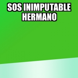 Meme Personalizado - sos inimputable hermano - 31204147