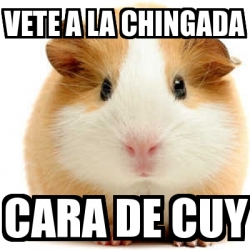 Meme Personalizado - Vete a la Chingada Cara de Cuy - 31205589