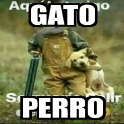 Meme Personalizado - gato Perro - 31212237