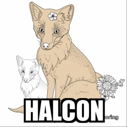 Meme Personalizado - Halcon - 31213125
