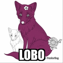 Meme Personalizado - lobo - 31213158