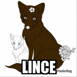 Meme Personalizado - lince - 31213169