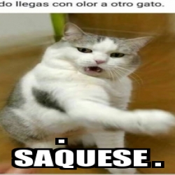 Meme Personalizado - . Saquese . - 31213686