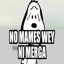 Meme Personalizado - No Mames Wey Ni Merga - 31218073