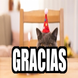 Meme Personalizado - Gracias - 31218300