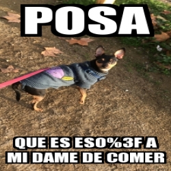 Meme Personalizado - Posa Que es eso%3F a mi dame de comer - 31218435