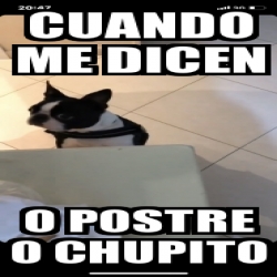 Meme Personalizado - Cuando me dicen O postre o chupito - 31219683